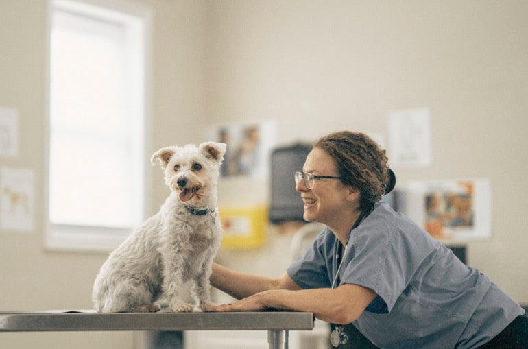 Vet Referral Program – Vets Love Pets