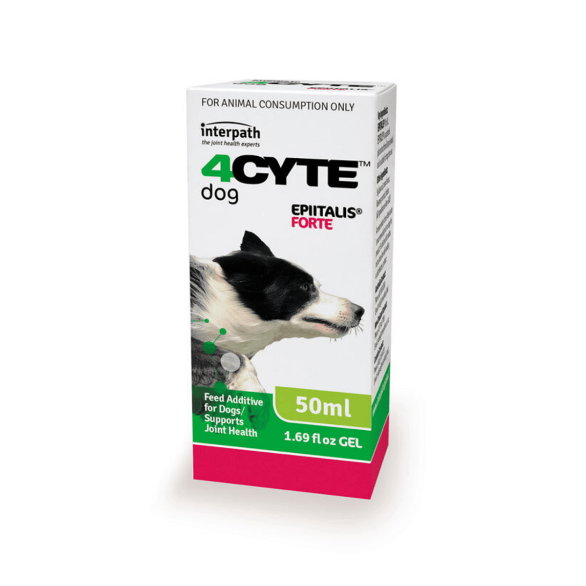 4CYTE Epiitalis Forte Pain Relief Gel for Dogs – Vets Love Pets