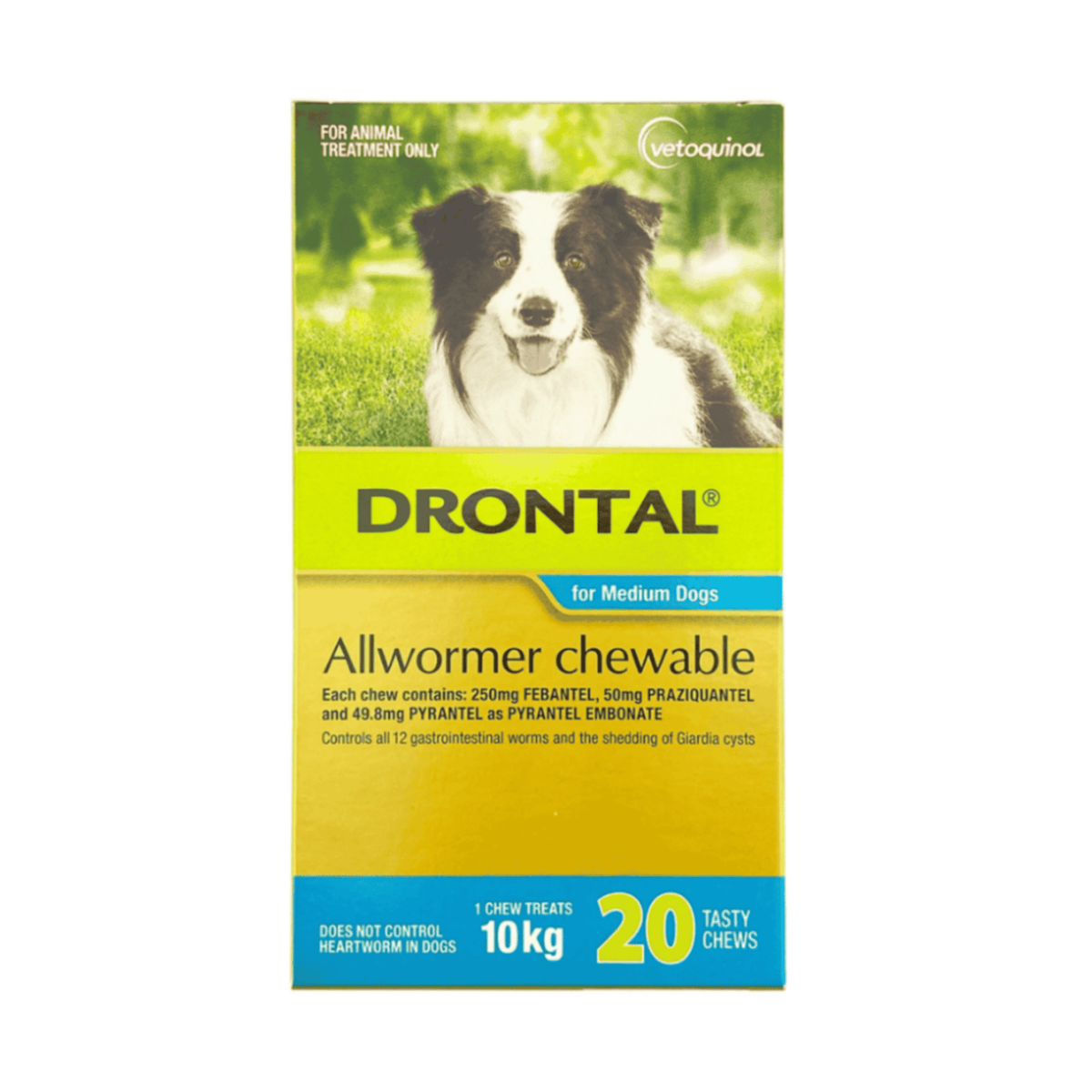 Drontal Allwormer Chewables for Medium Dogs 10kg – Vets Love Pets
