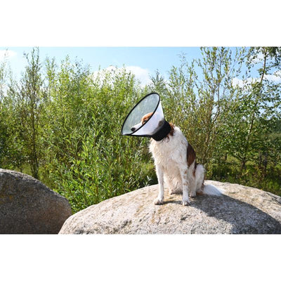 Kruuse Buster Complete Elizabethan Collar – Vets Love Pets