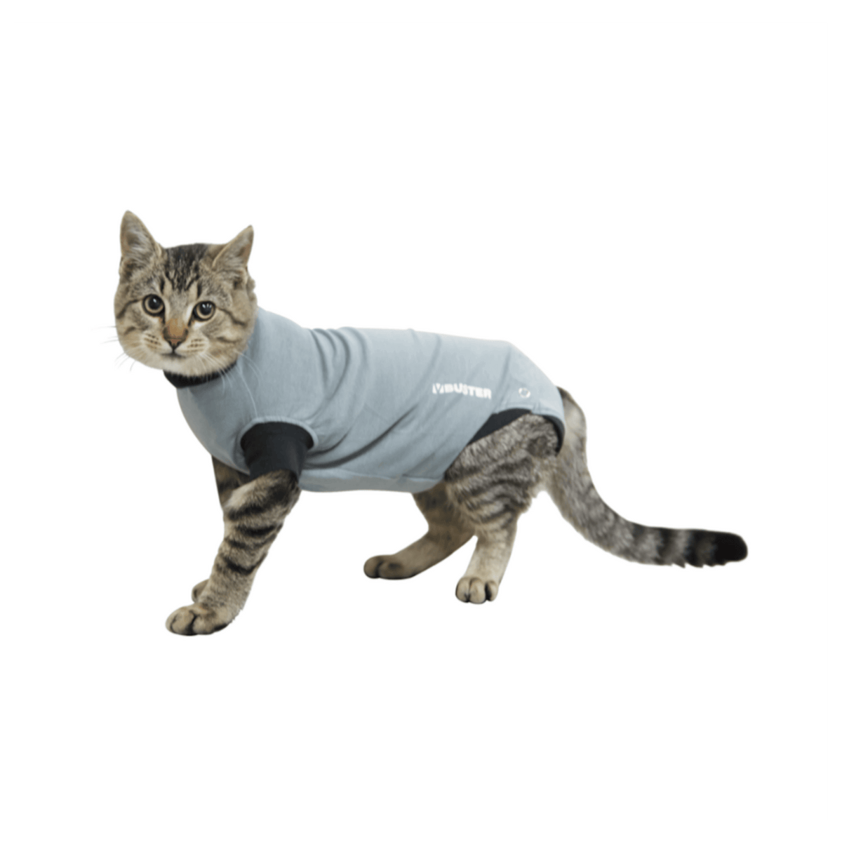 Kruuse Buster Body Suit EasyGo for Cats – Vets Love Pets