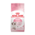 The Vet’s Guide to Turkish Angora Cats: Facts, Care, and Training Tips ...