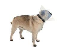 Kruuse Buster E-Collar for Brachycephalic Dogs – Vets Love Pets